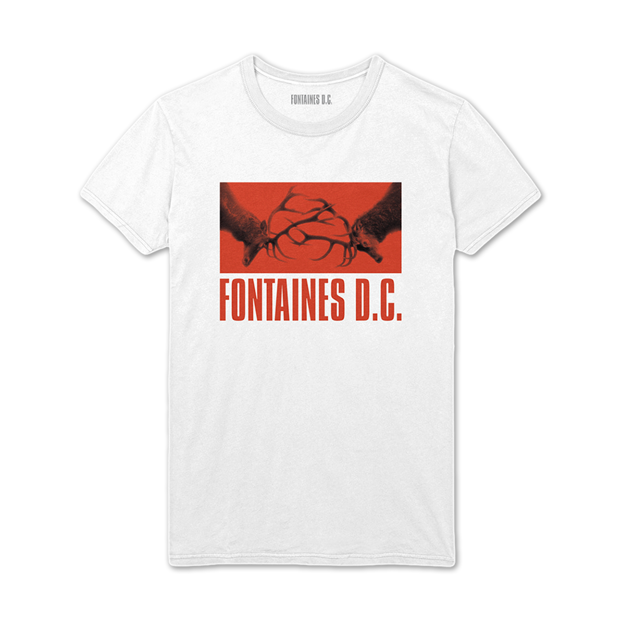Fontaines DC (US)